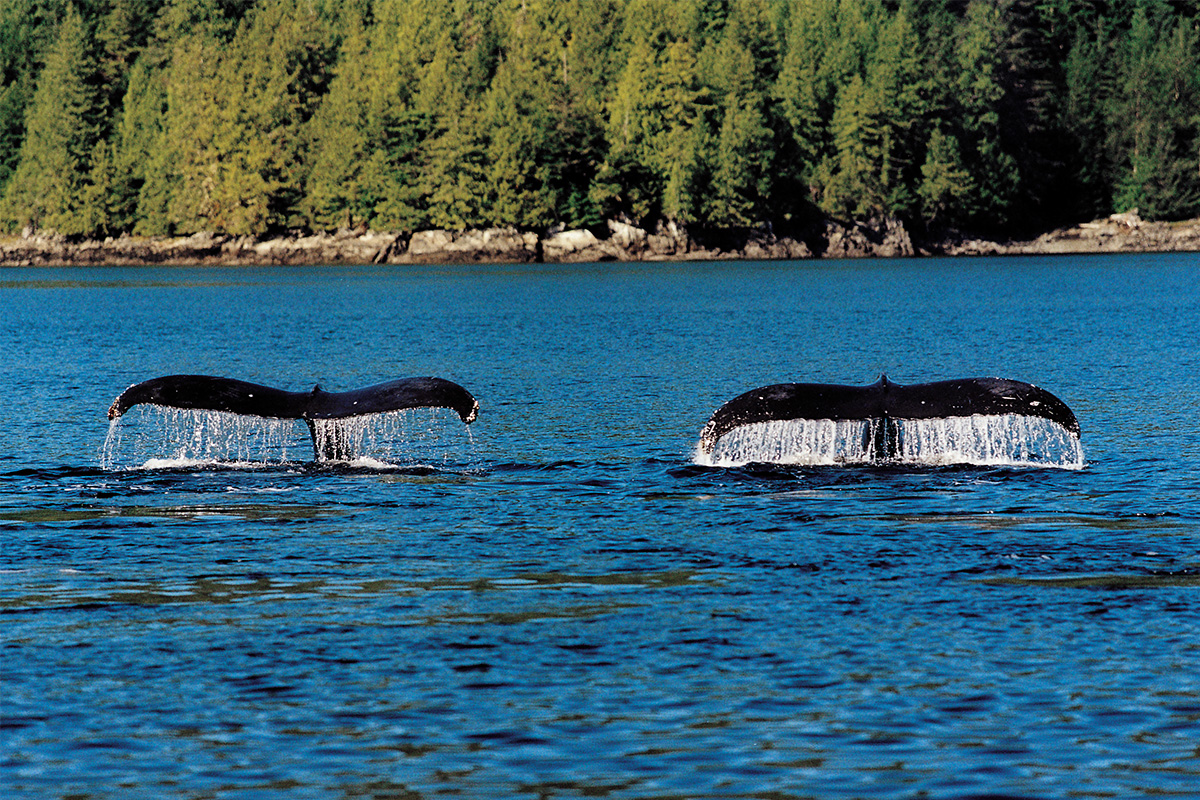 2023 Annual Report | Port of Prince Rupert